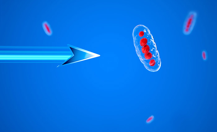 Terbinafine: How It Works & Why Lamisil Uses It